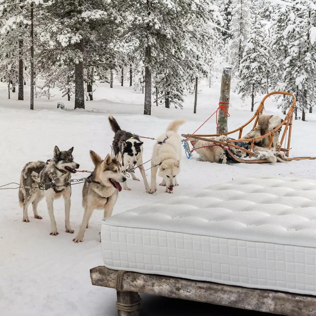 Handmade Mattresses - Hälsa Beds Swedish Design to Art